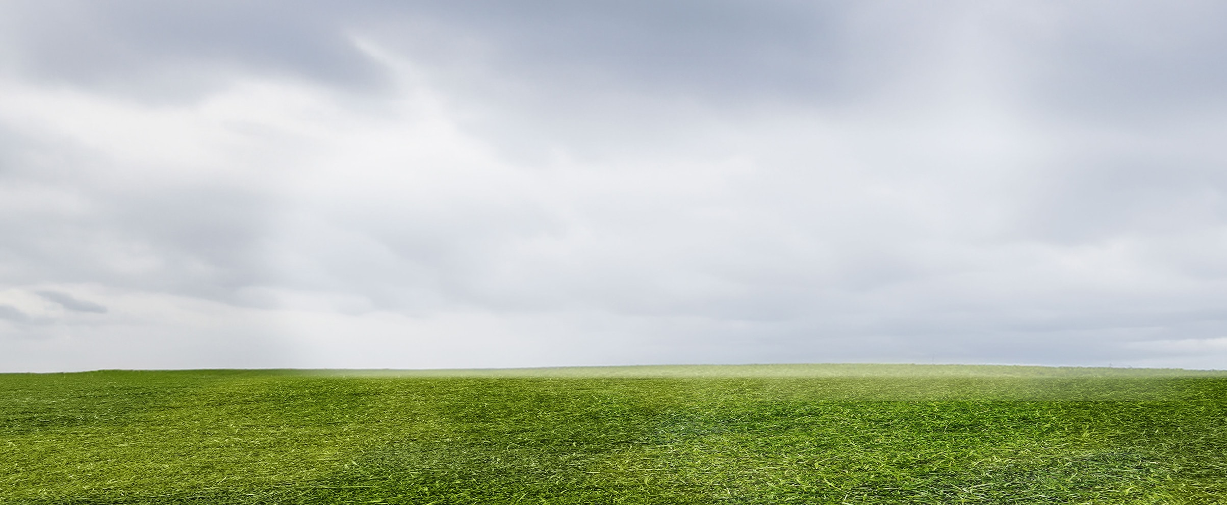 Homepage - Cargill MasterCuts